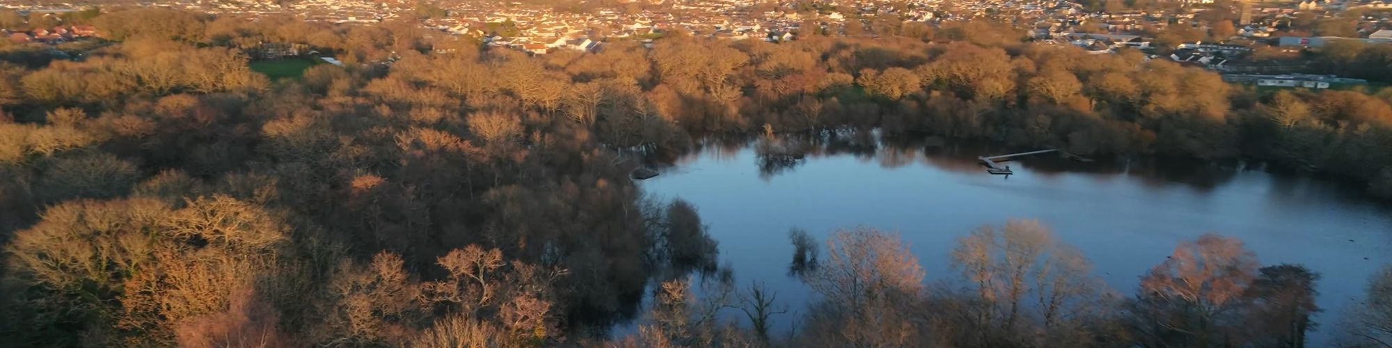 Woodland TPO Confirmed: A unanimous decision, and why claims that ...