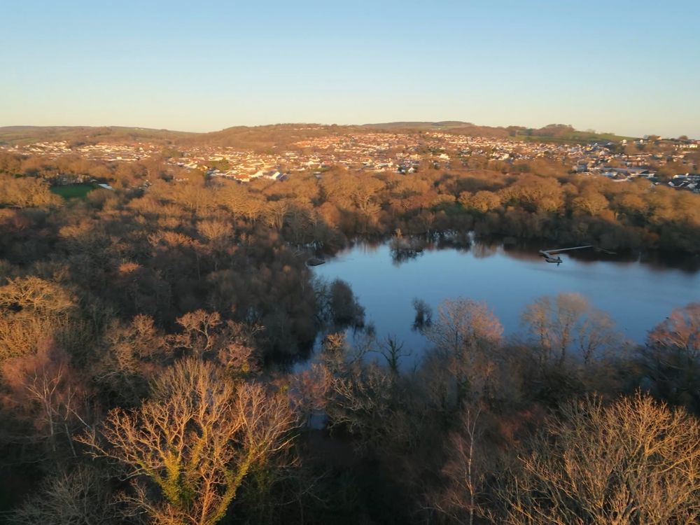 Council Officers Recommend Confirming Tree Preservation Order for ...