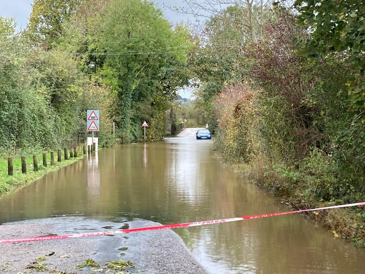 Contact Us Save Our Trees Campaign Stop The Quarry Save Our Trees