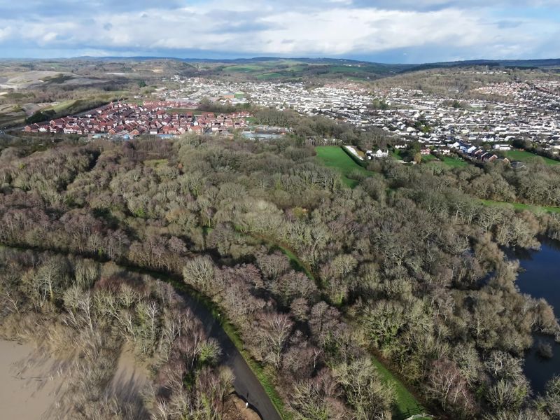 Council Officers Recommend Confirming Tree Preservation Order for ...
